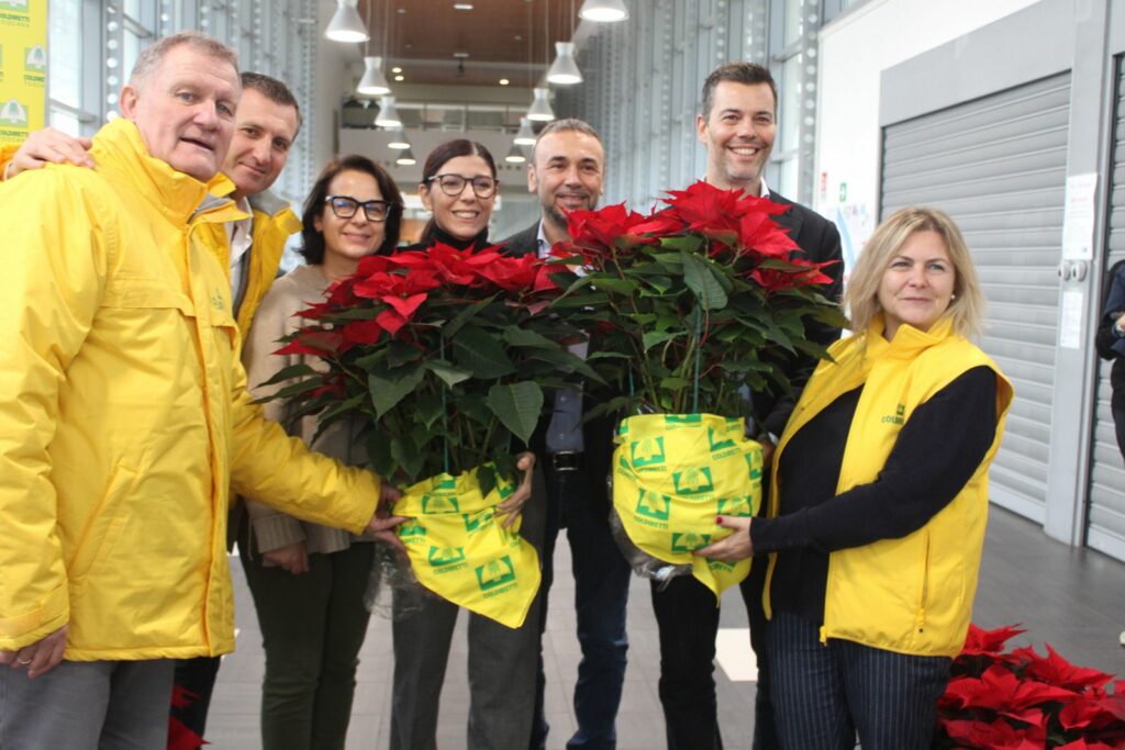 Le Stelle di Natale donate da Coldiretti al San Giovanni di Dio. L ...